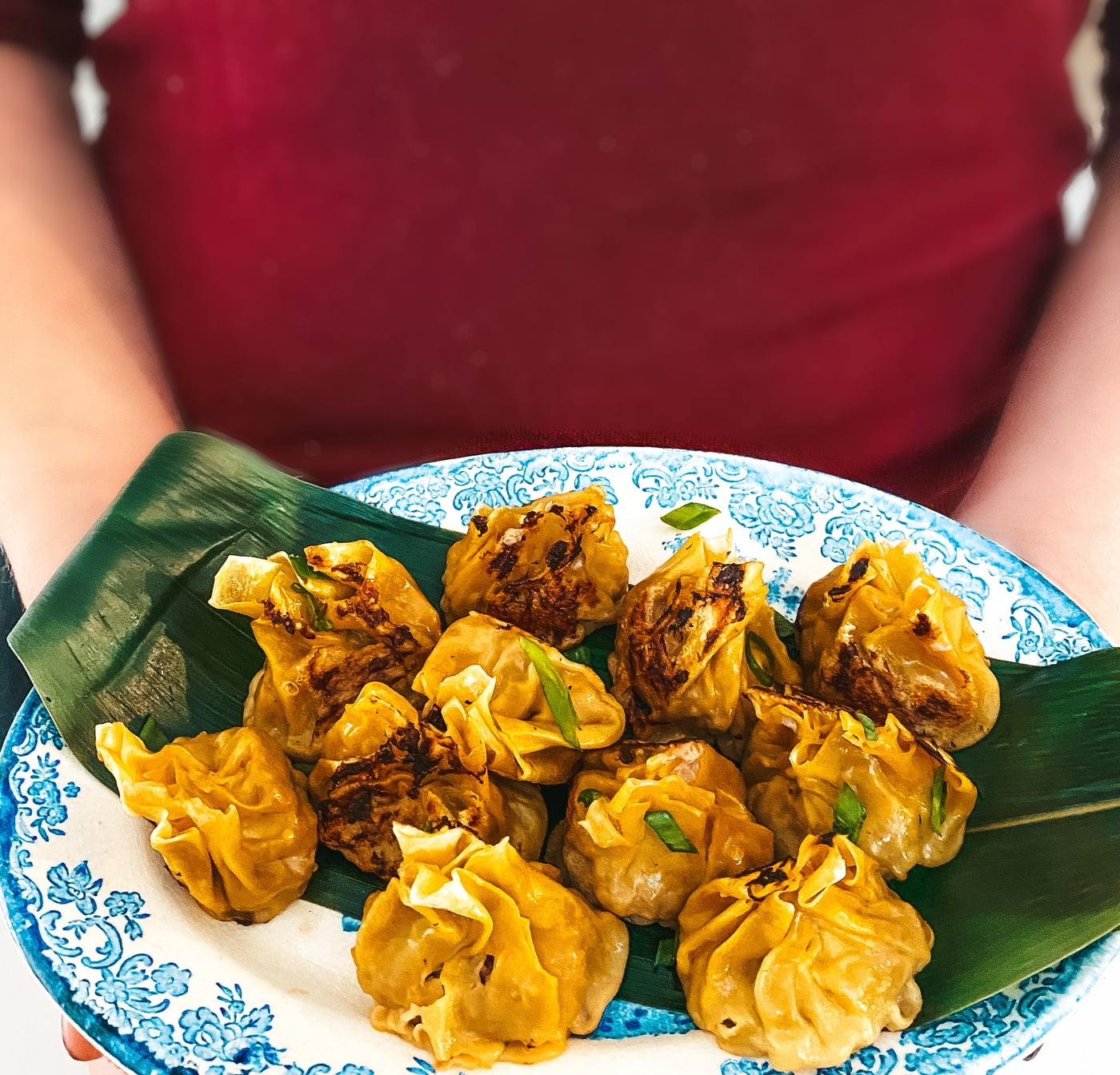 Kimchi Dumplings